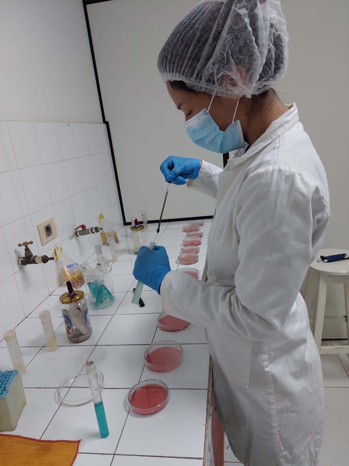 Evaluación de las características fisicoquímicas, microbiológicas y ...